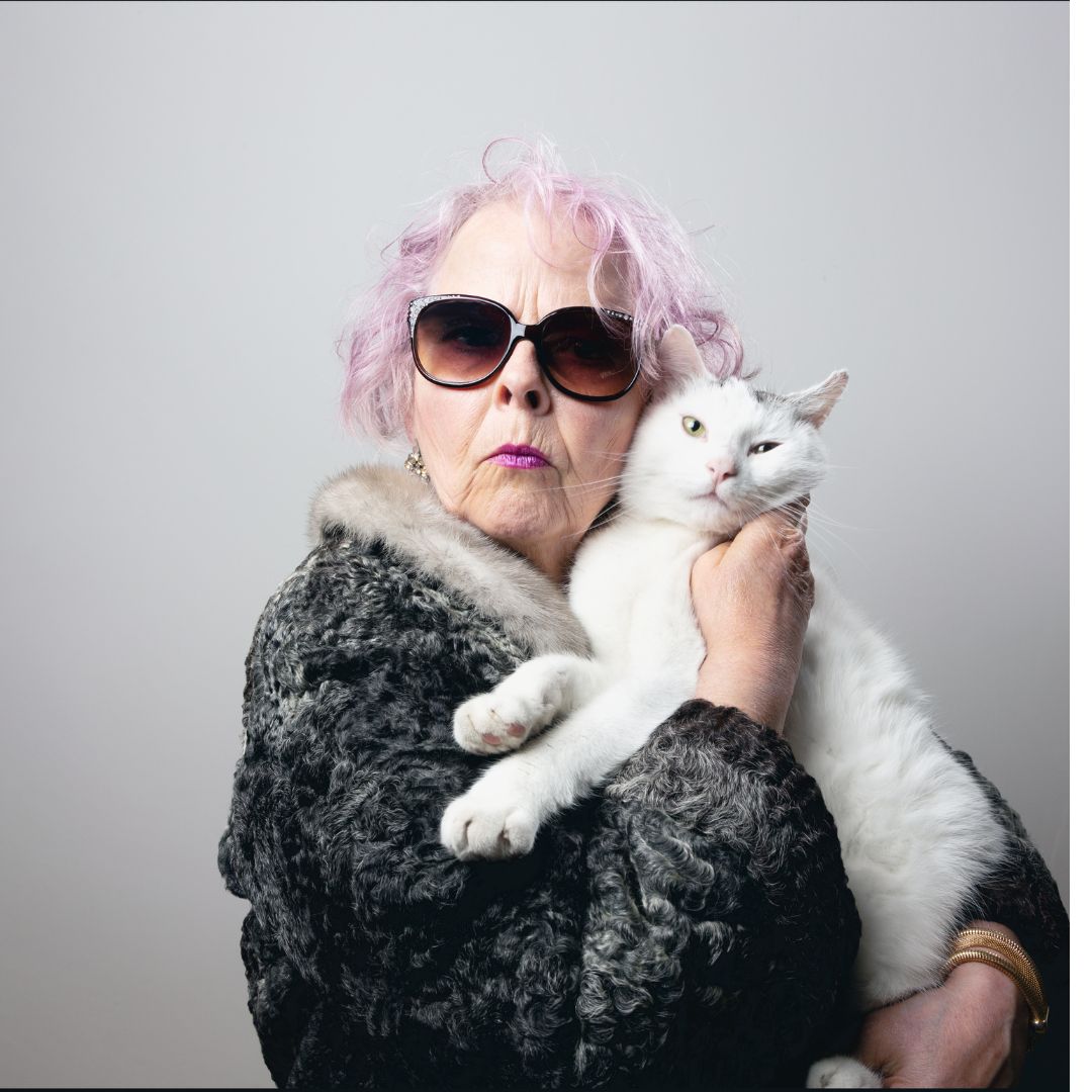 Embracing the Cat Lady Life: The Benefits of Being a Cat Lady – GROOMY