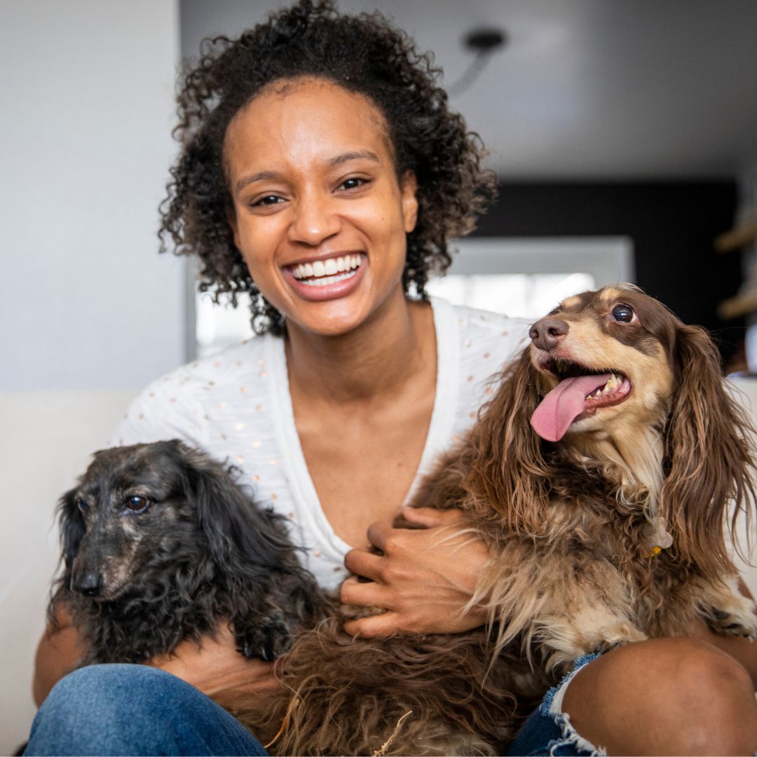 Quality Time with Furry Friends: Activities for Pet Bonding – GROOMY